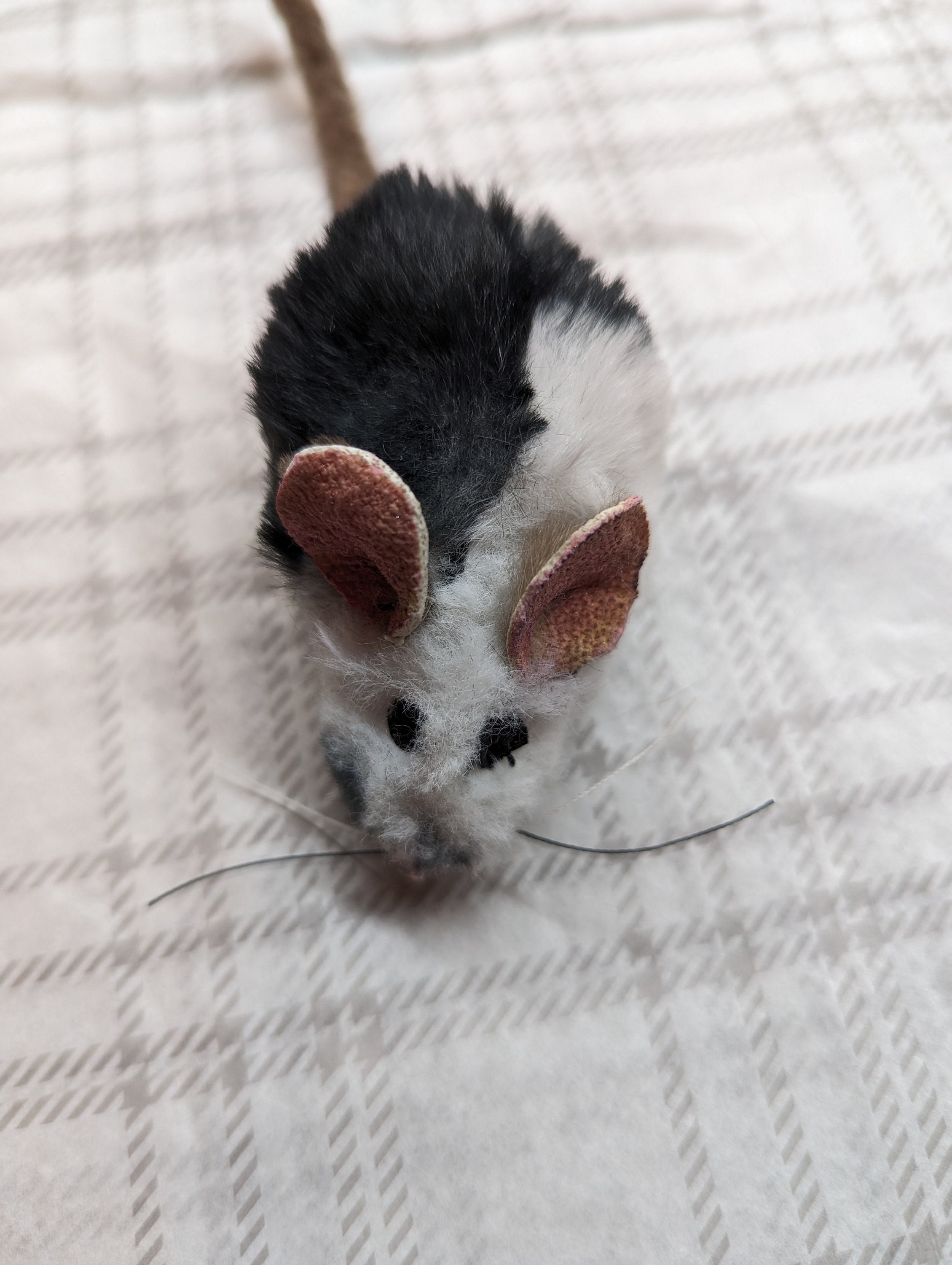 Spotted Mouse Cat Toy With Catnip - Etsy