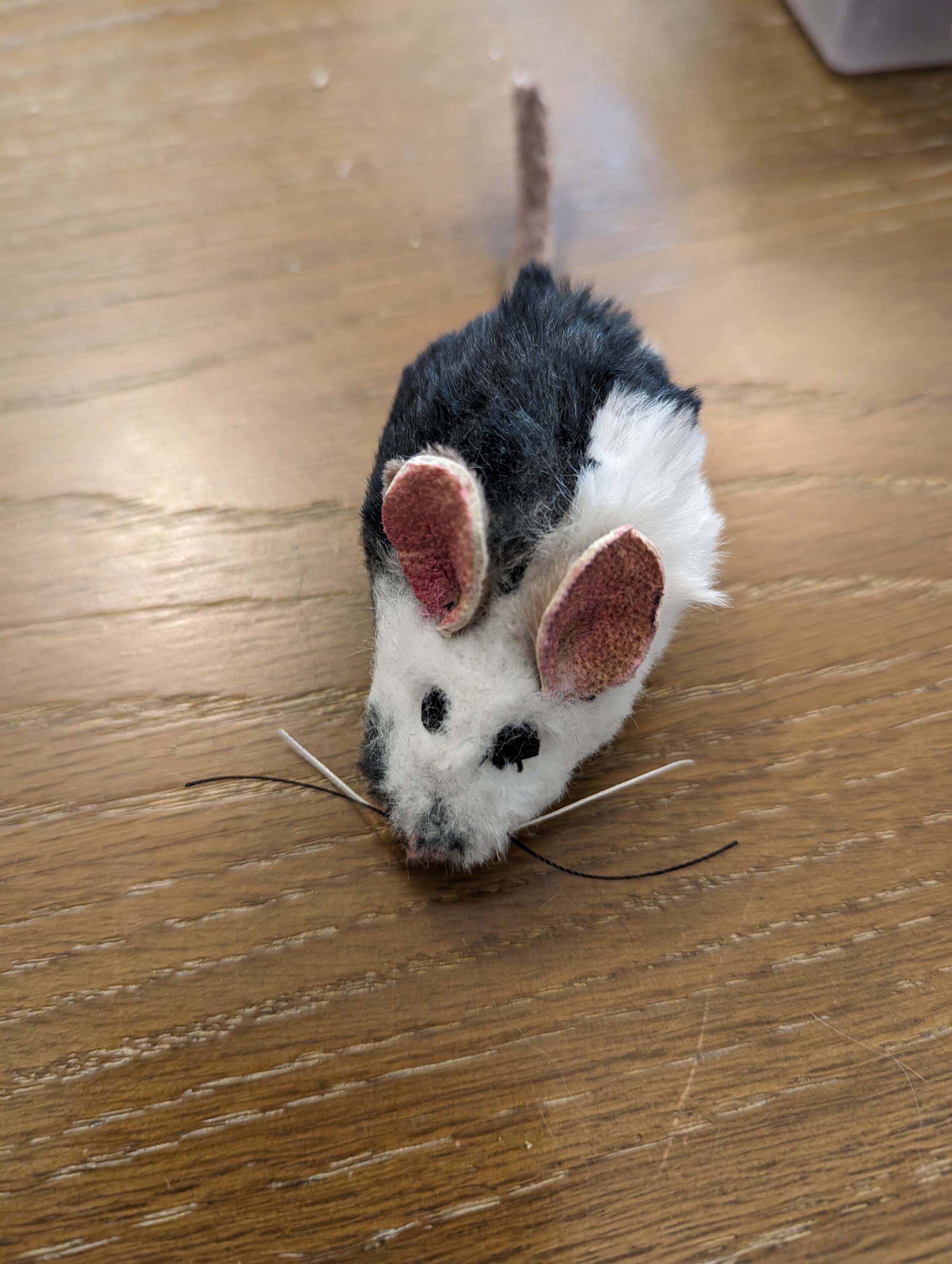 Spotted Mouse Cat Toy With Catnip - Etsy