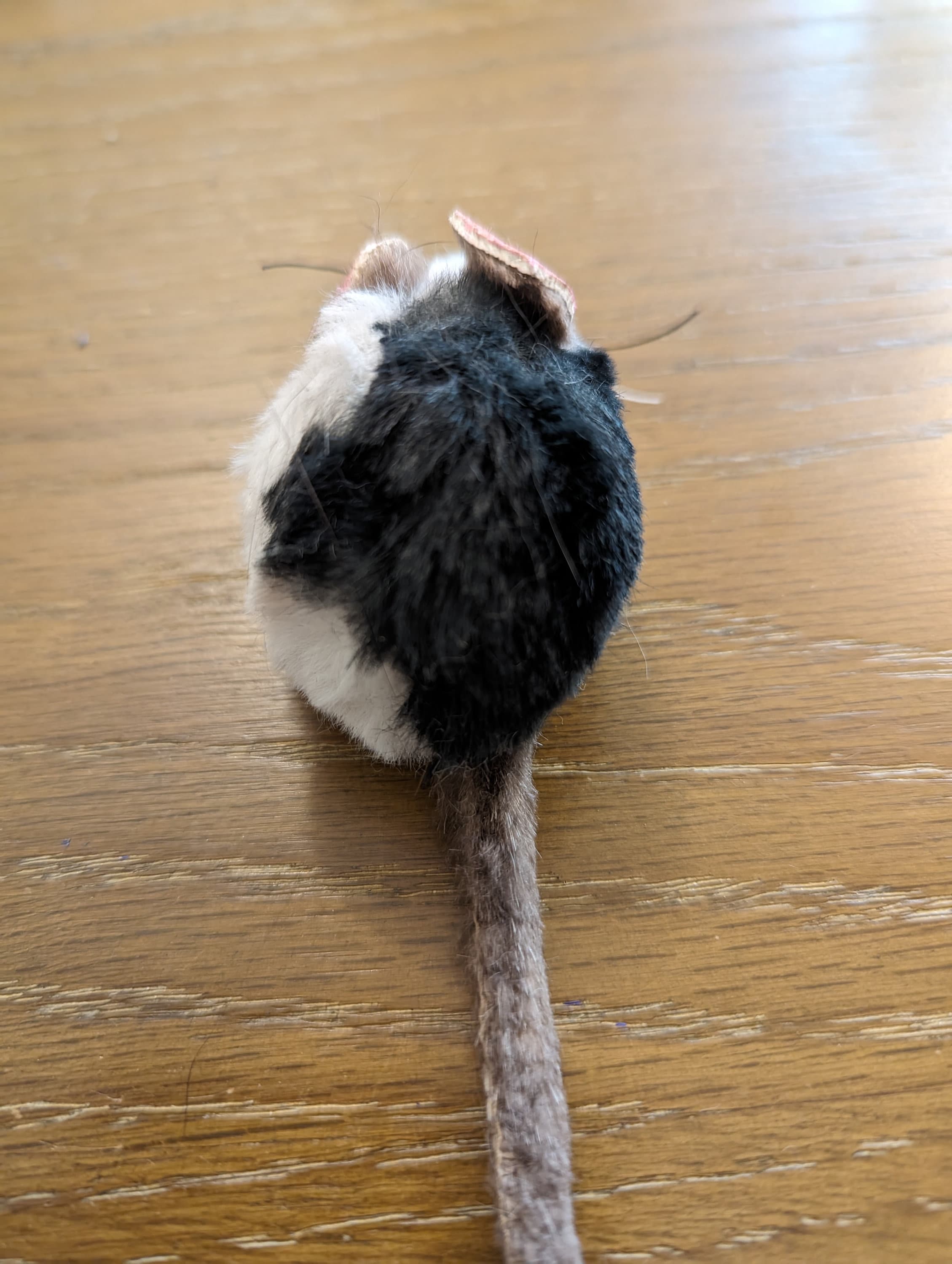 Spotted Mouse Cat Toy With Catnip - Etsy