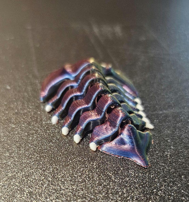 3D Articulated Trilobite - Etsy