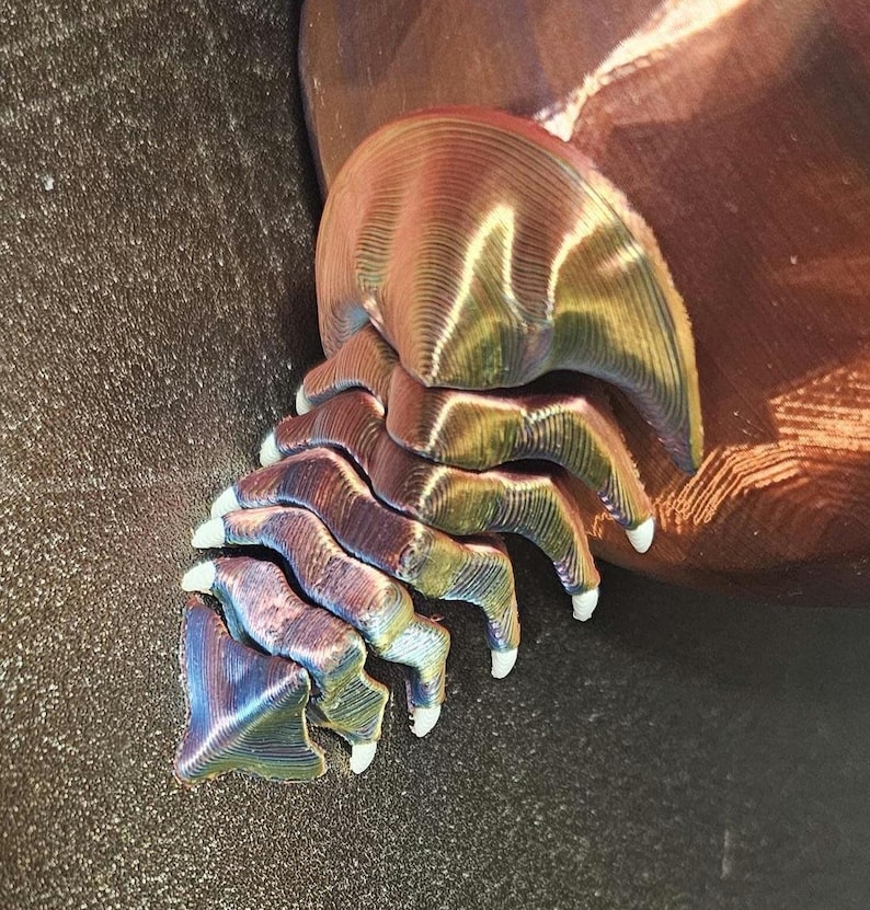 3D Articulated Trilobite - Etsy