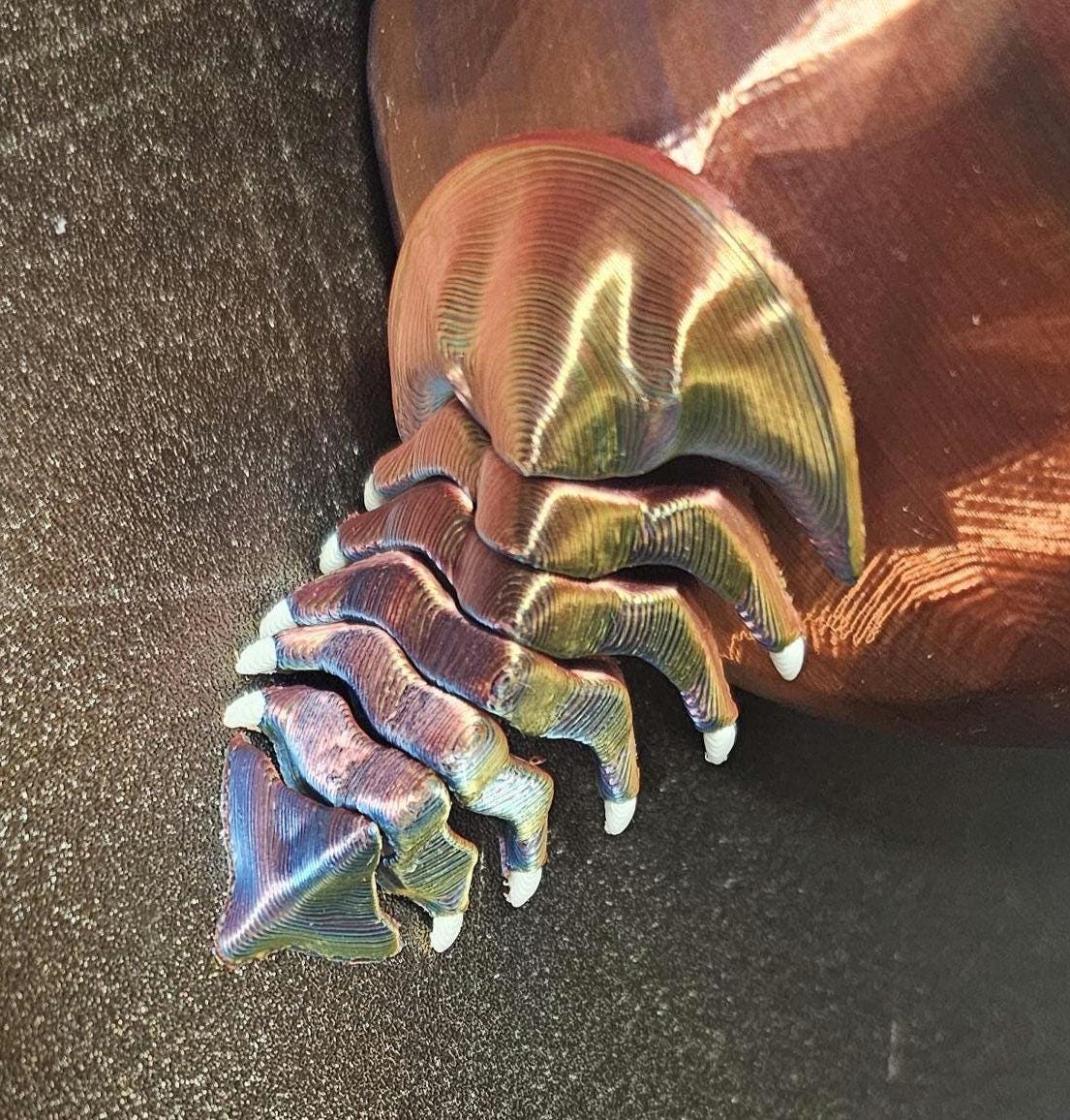 3D Articulated Trilobite - Etsy