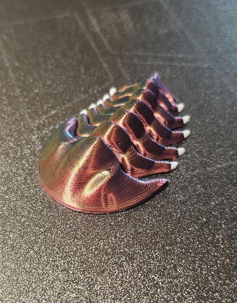 3D Articulated Trilobite - Etsy