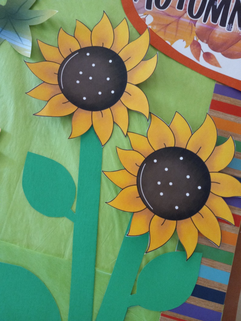 Teacher Bulletin Board for Preschool & Kindergarten Classrooms. the ...