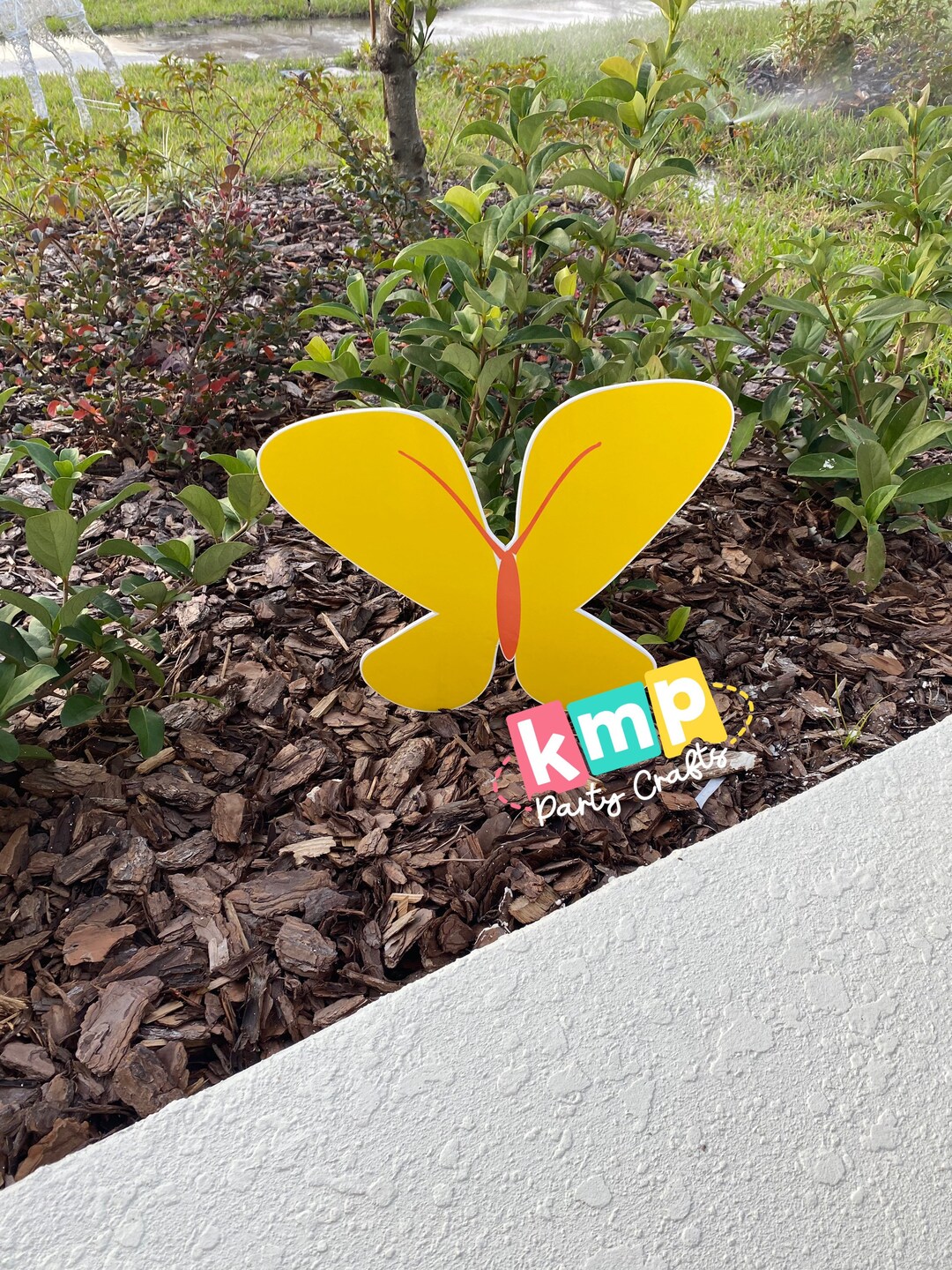 Encanto Inspired Butterfly Standee Prop Party Decorations - Etsy