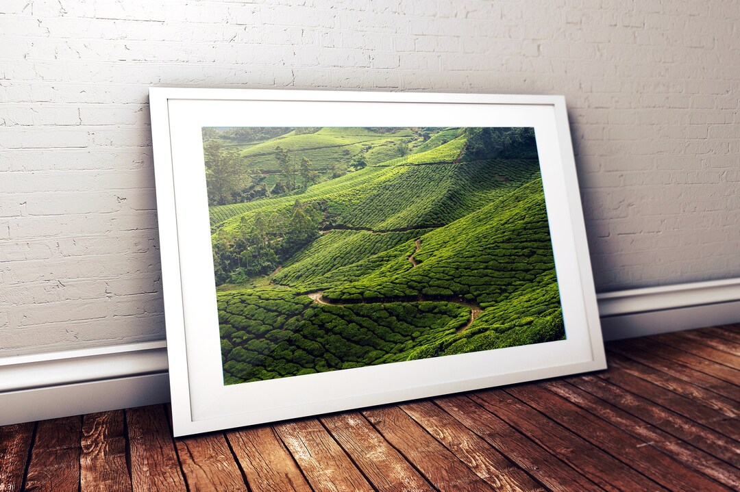 Munnar Tea Plantations, Kerala, India Art Print, Travel Photo ...