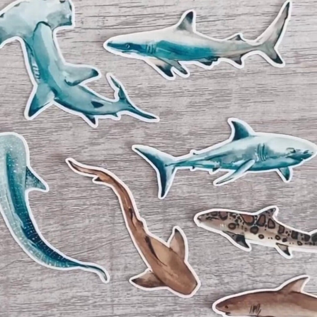 Shark Watercolor Sticker Pack Shark Conservation Decal Save the Ocean ...