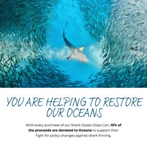 Shark Ocean Glass Can Shark Conservation Gift Save the Sharks Shark ...