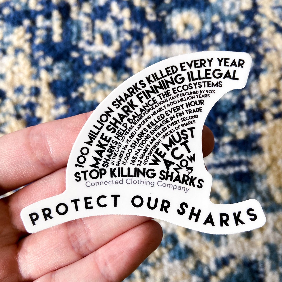 Protect Our Sharks Sticker Shark Conservation Sticker Save the Ocean ...