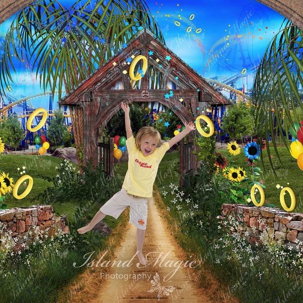 Sonic the Hedgehog Photoshop Backdrop - Etsy