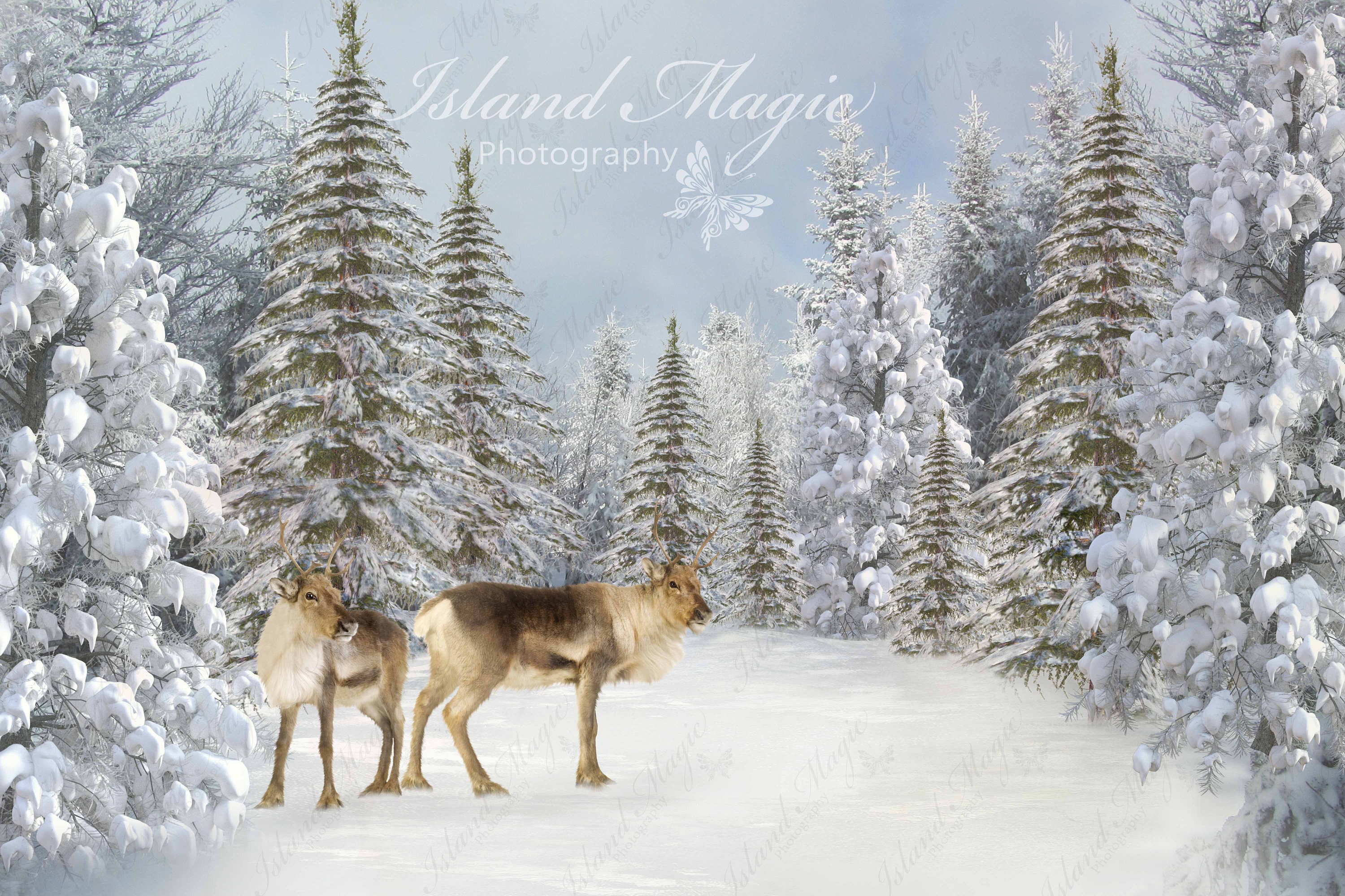 2 Reindeer Digital Backgrounds With and Without Snowman - Etsy Canada