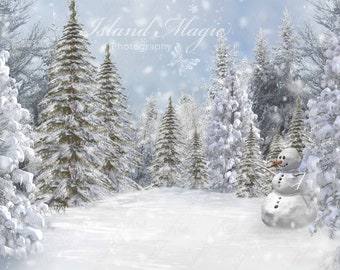 Snowman Digital Background With Snow Overlay | Photoshop Background ...