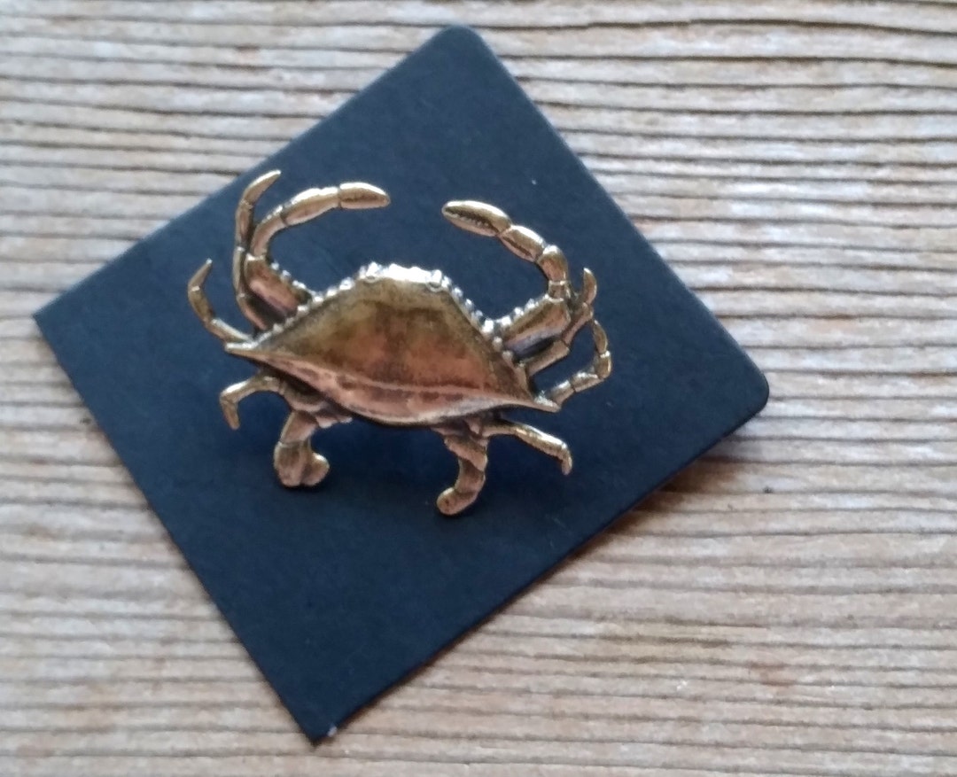 The Brass Crab Pin, Crab Jewelry, Antiqued Brass Crab Pin, Beach ...