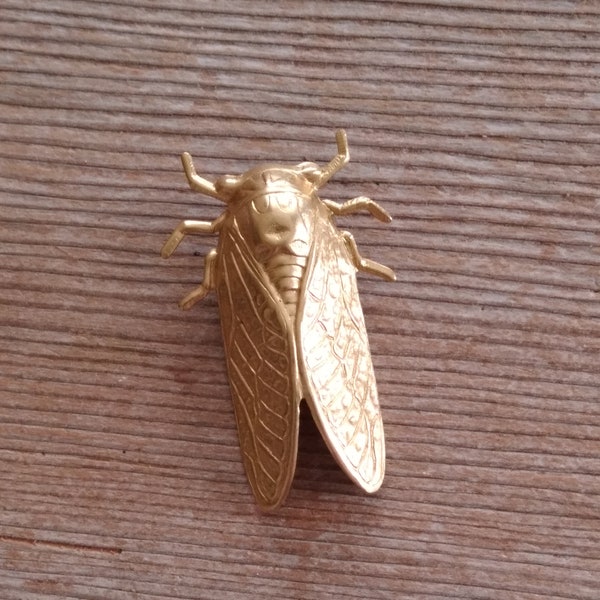 Cicada Brooch - Etsy