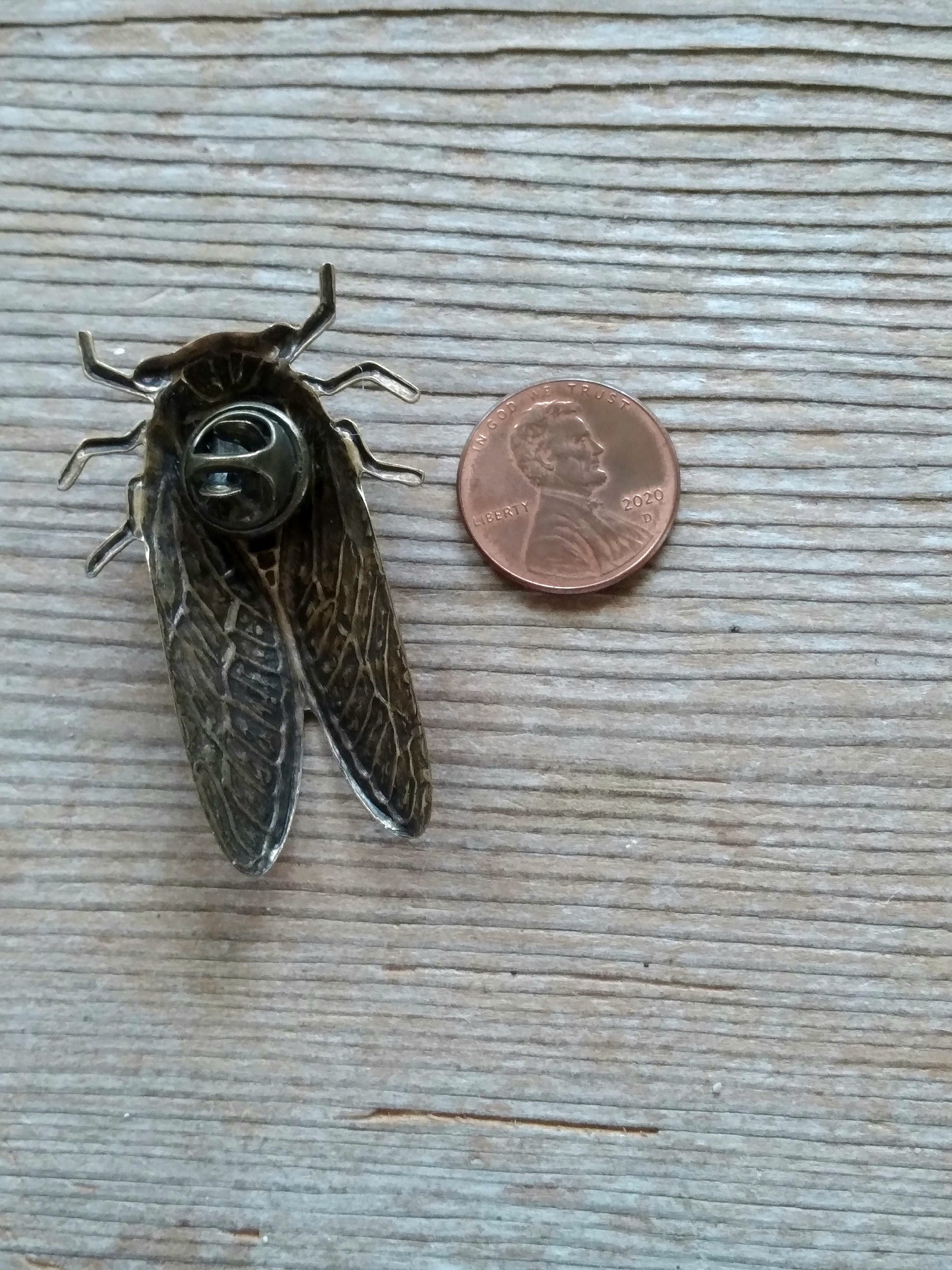 Huge Cicada Pin Antiqued Brass Cicada Pin Brooch Brass - Etsy