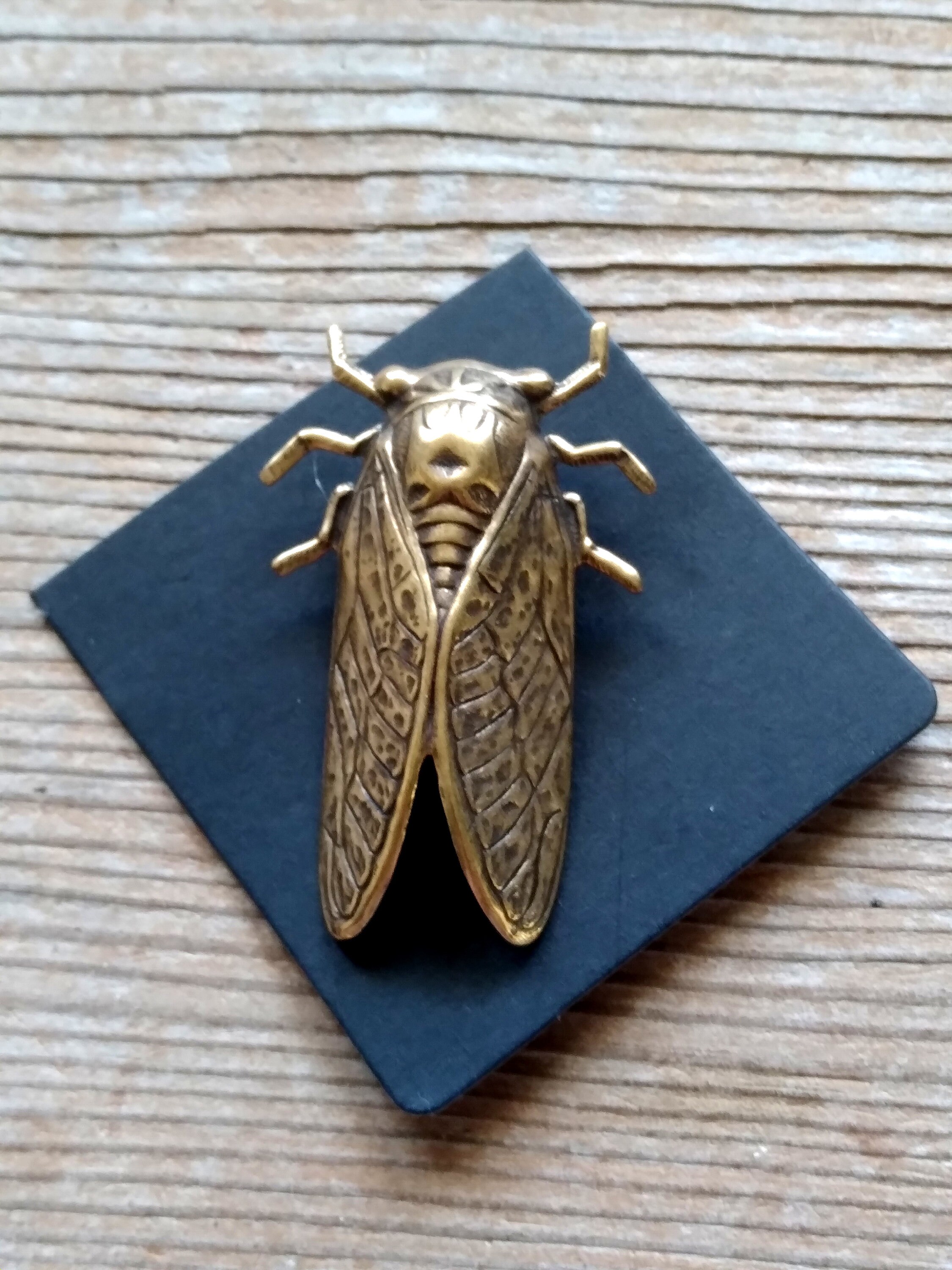 Huge Cicada Pin Antiqued Brass Cicada Pin Brooch Brass - Etsy