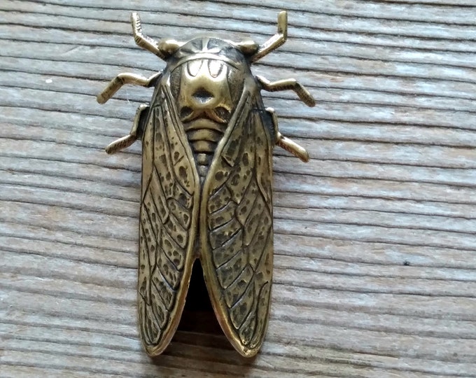 Huge Cicada Pin, Antiqued Brass Cicada Pin Brooch, Brass Cicada Tie ...