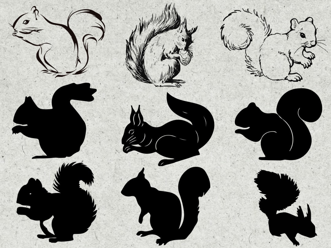 Squirrel SVG - Animal SVG - Squirrel Silhouette - SVG Cut Files ...