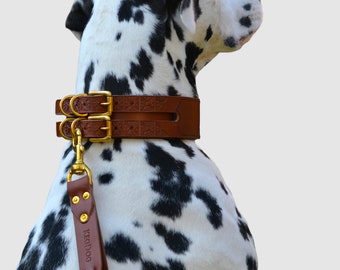 Roman Dog Collar - Etsy