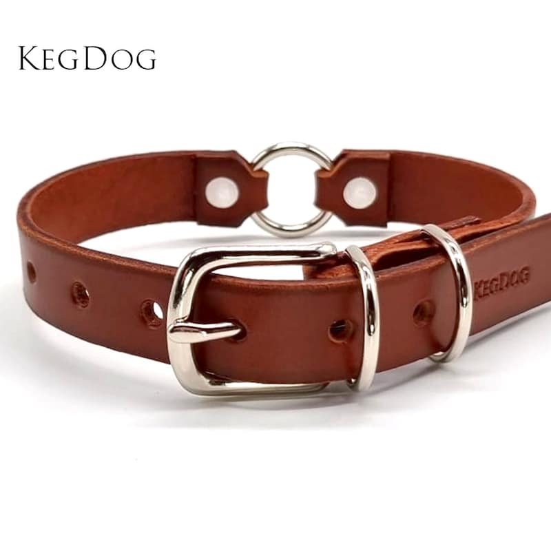 Hunting Dog Collars - Etsy