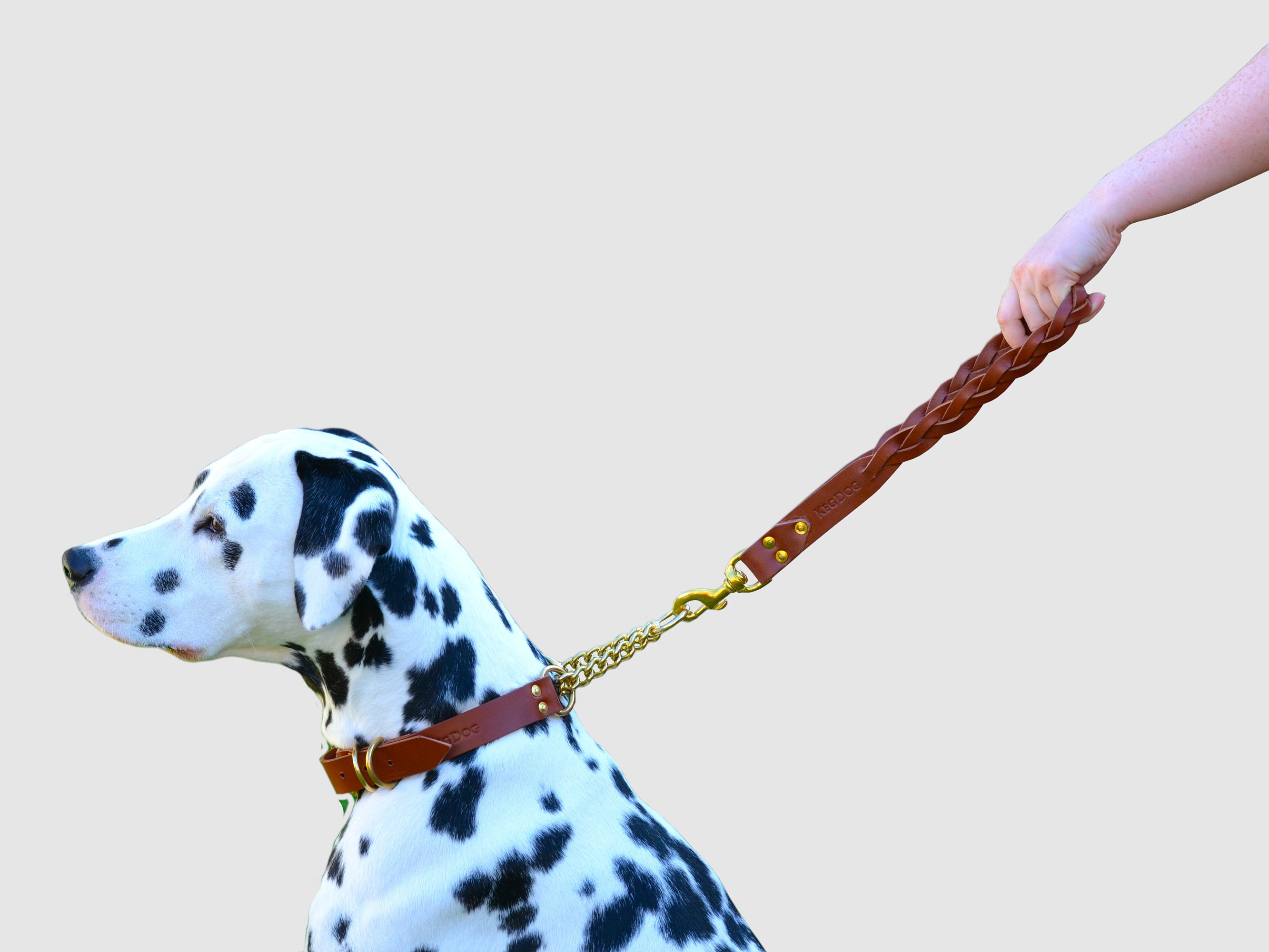 Braided Leather Traffic Loop Short Dog Lead | Etsy