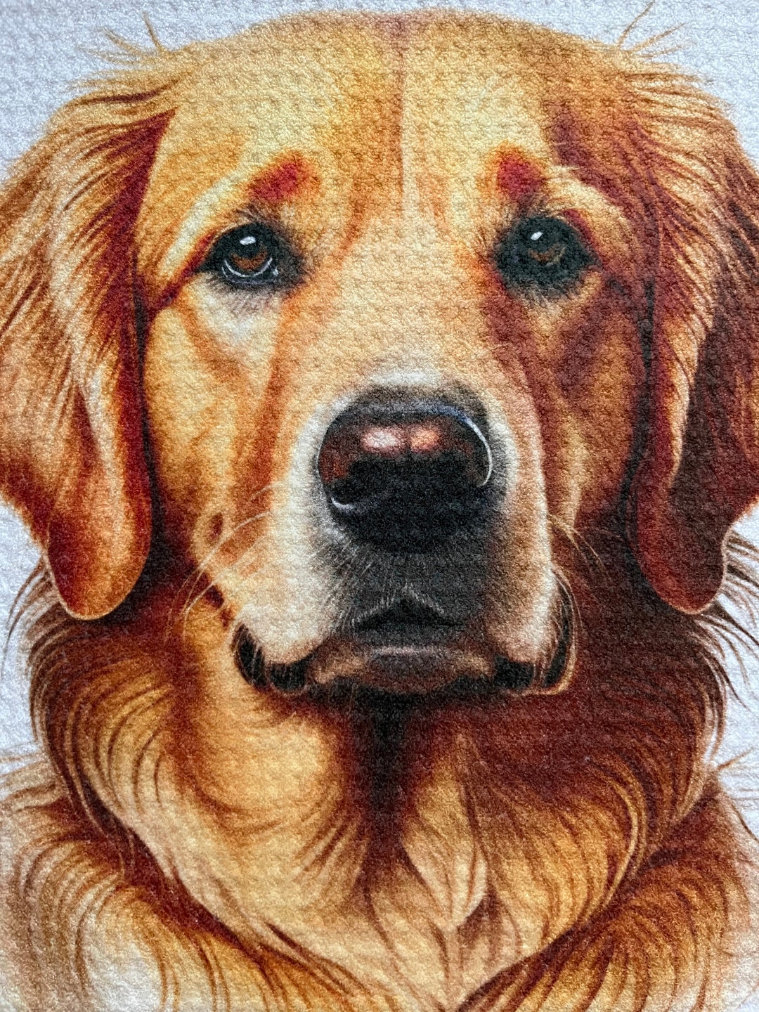 Golden Labrador Retriever Ted White Decorative Waffle Kitchen Bath Golf ...