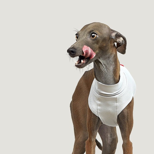 Vemvem® Layer: Freezing-cut Shark Silver for Italian - Etsy