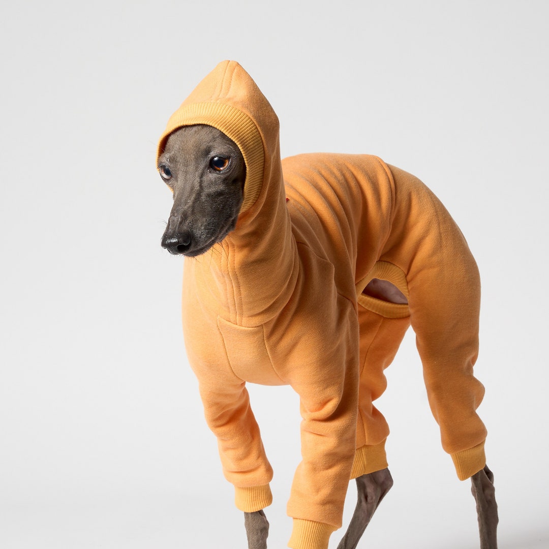 Vemvem® Face: Speedsuit Pigment for Italian Greyhound - Etsy