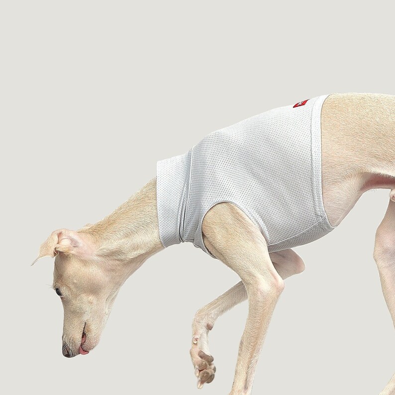 Vemvem® Layer: Freezing-cut Shark Silver for Italian - Etsy