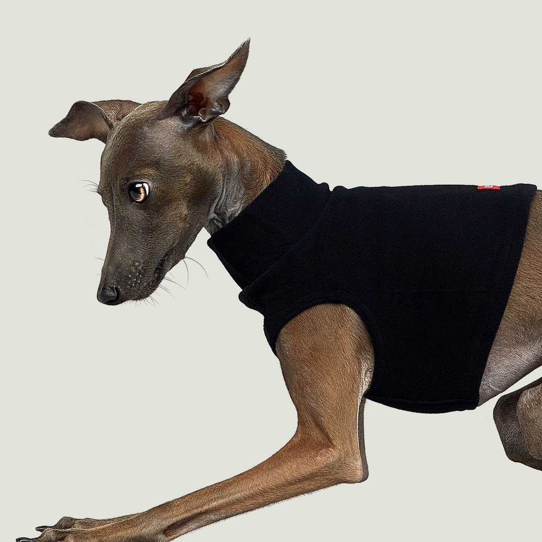Vemvem® Layer: Melting-cut Crow Black for Italian Greyhound - Etsy