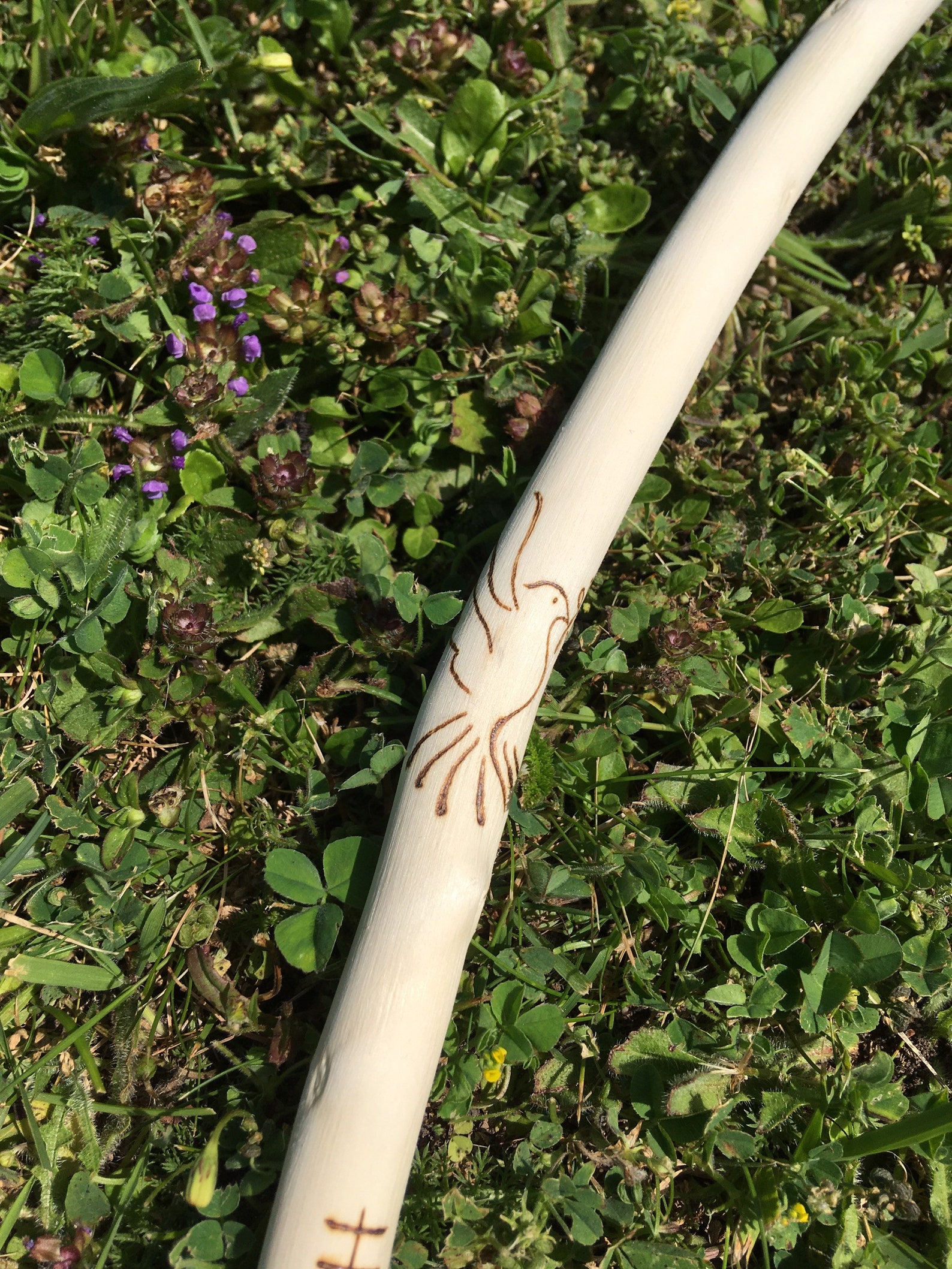 Aspen wood Wand Dove The whispering tree element of air | Etsy