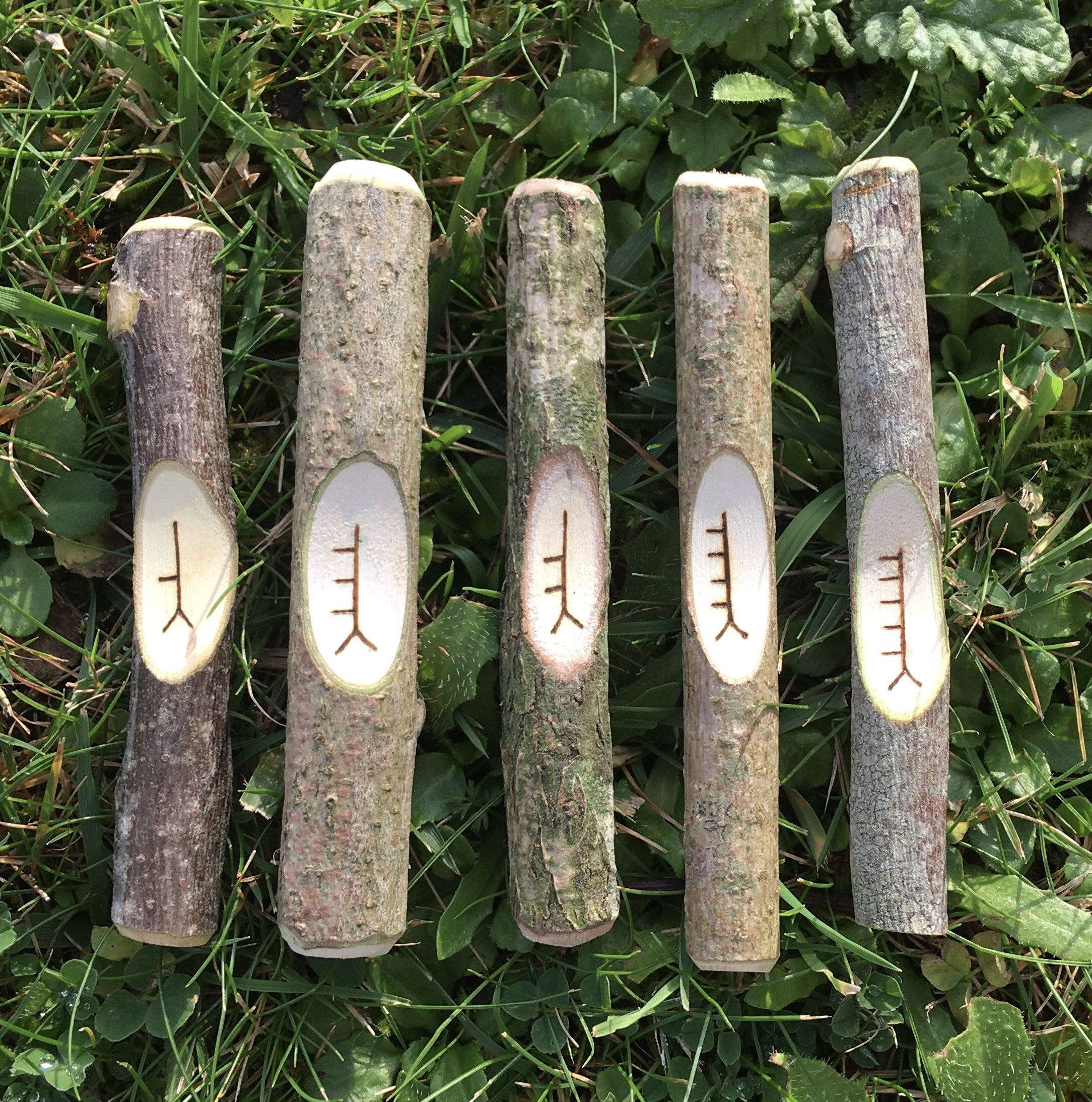 Celtic Tree Ogham Staves Full Set of 20 Each From Its | Etsy Canada