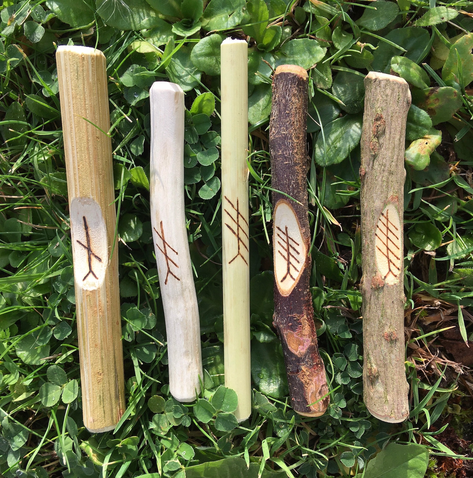 Celtic Tree Ogham Staves Full Set of 20 Each From Its | Etsy Canada