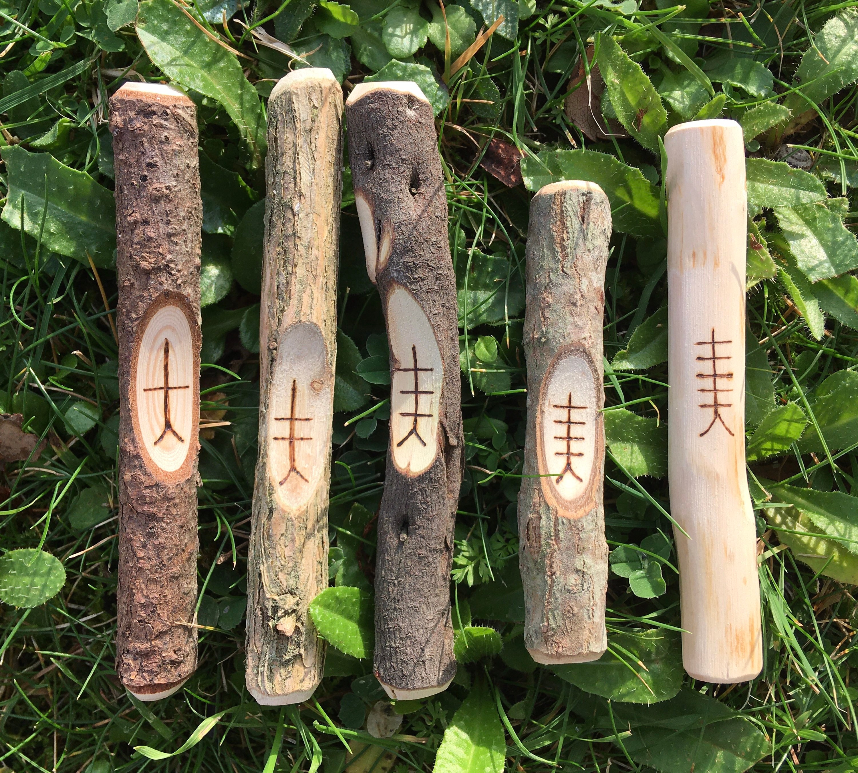 Celtic Tree Ogham Staves Full Set of 20 Each From Its | Etsy Canada