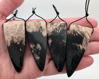 Petrified Palm Root | Etsy