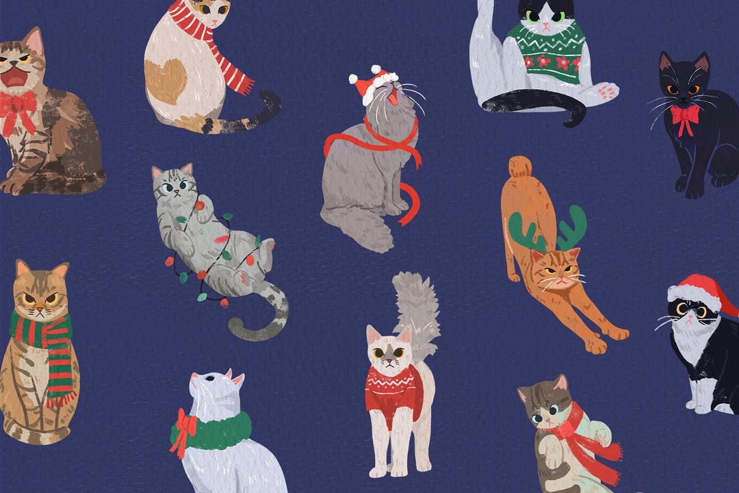 Cute Christmas Cats Clipart Bundle for Cat Lover 12 PNG & JPG Images ...