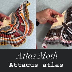 Hand Painted Moth/butterfly Fan - Etsy