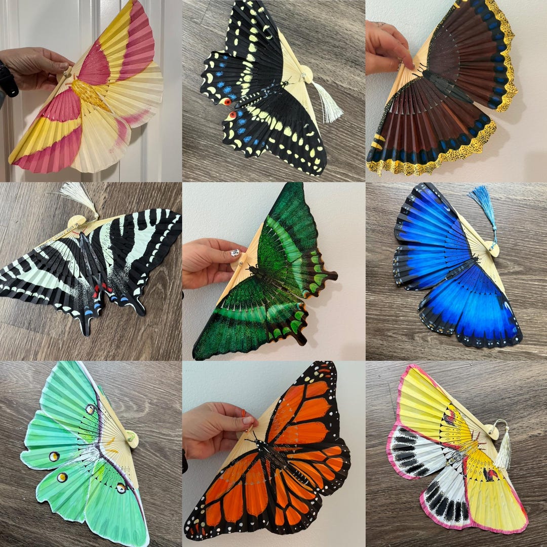 Hand Painted Moth/butterfly Fan - Etsy