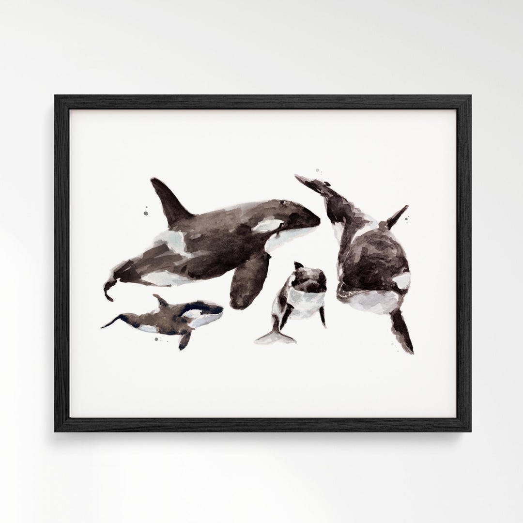 Orca Family of 4 (two Big and Two Small Orca) Ocean Animal Watercolor ...