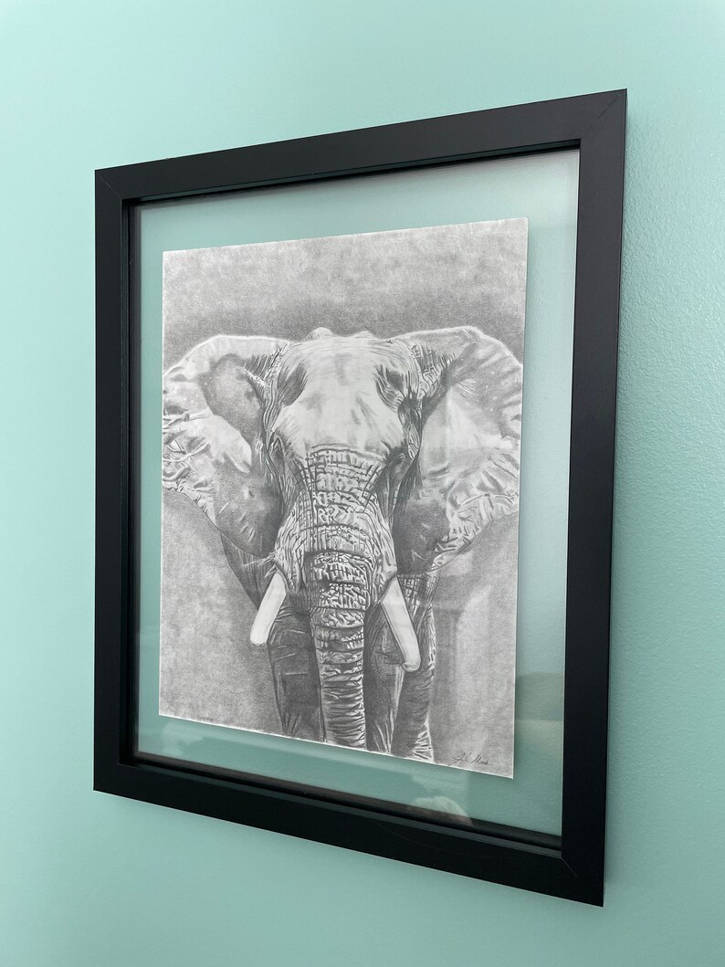 Elephant Graphite Pencil Drawing Prints - Etsy
