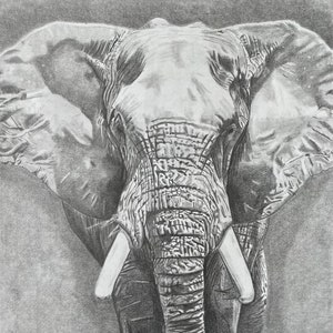 Safari Animals Graphite Pencil Drawing Prints Nursery - Etsy