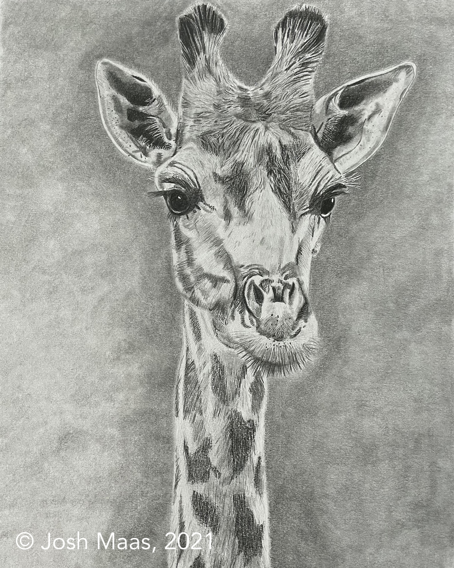Safari Animals Graphite Pencil Drawing Prints Nursery - Etsy