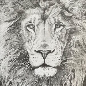 Safari Animals Graphite Pencil Drawing Prints Nursery - Etsy