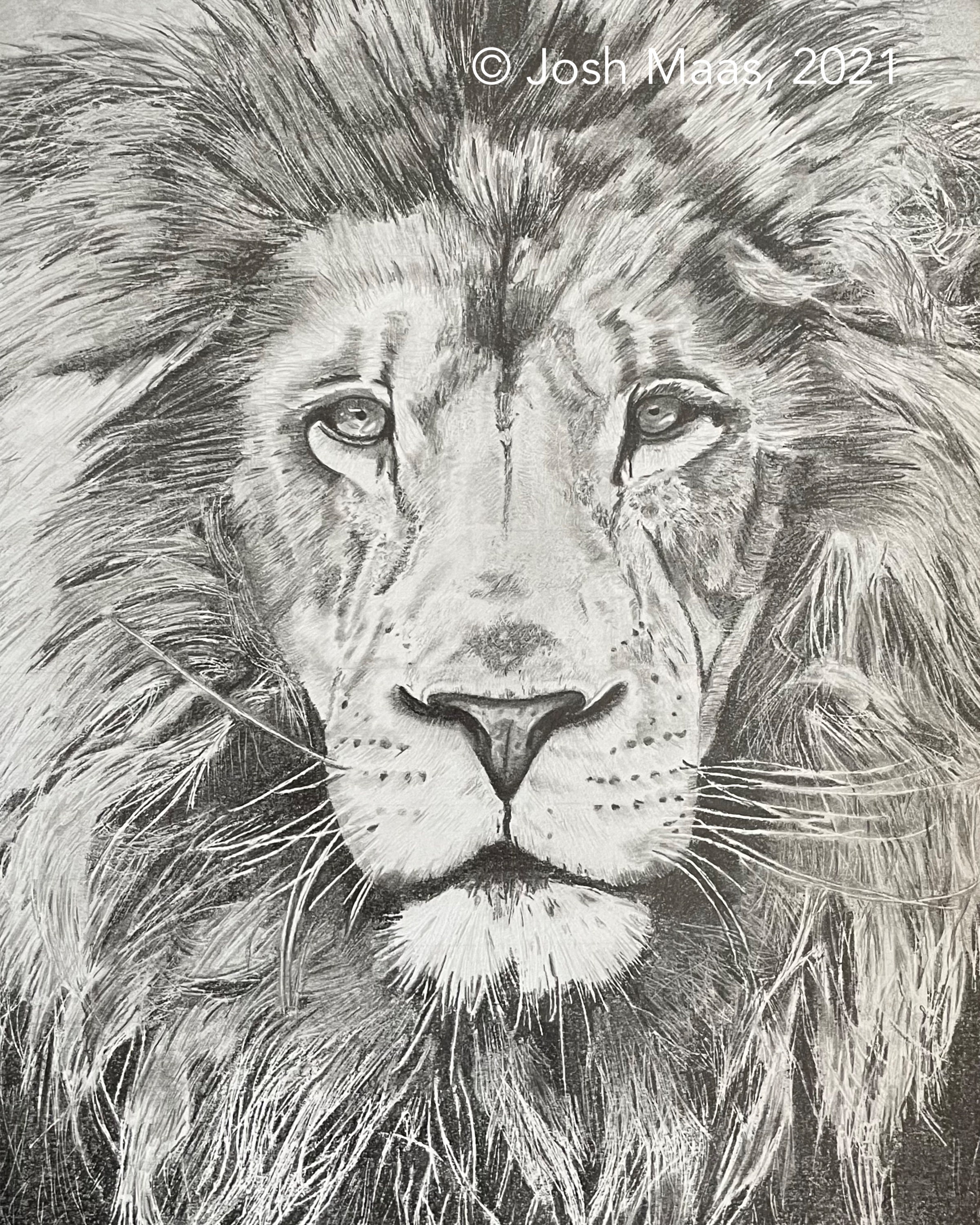 Safari Animals Graphite Pencil Drawing Prints Nursery - Etsy