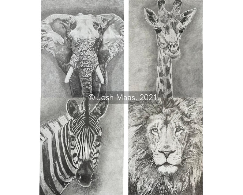 Safari Animals Graphite Pencil Drawing Prints Nursery Decor - Etsy