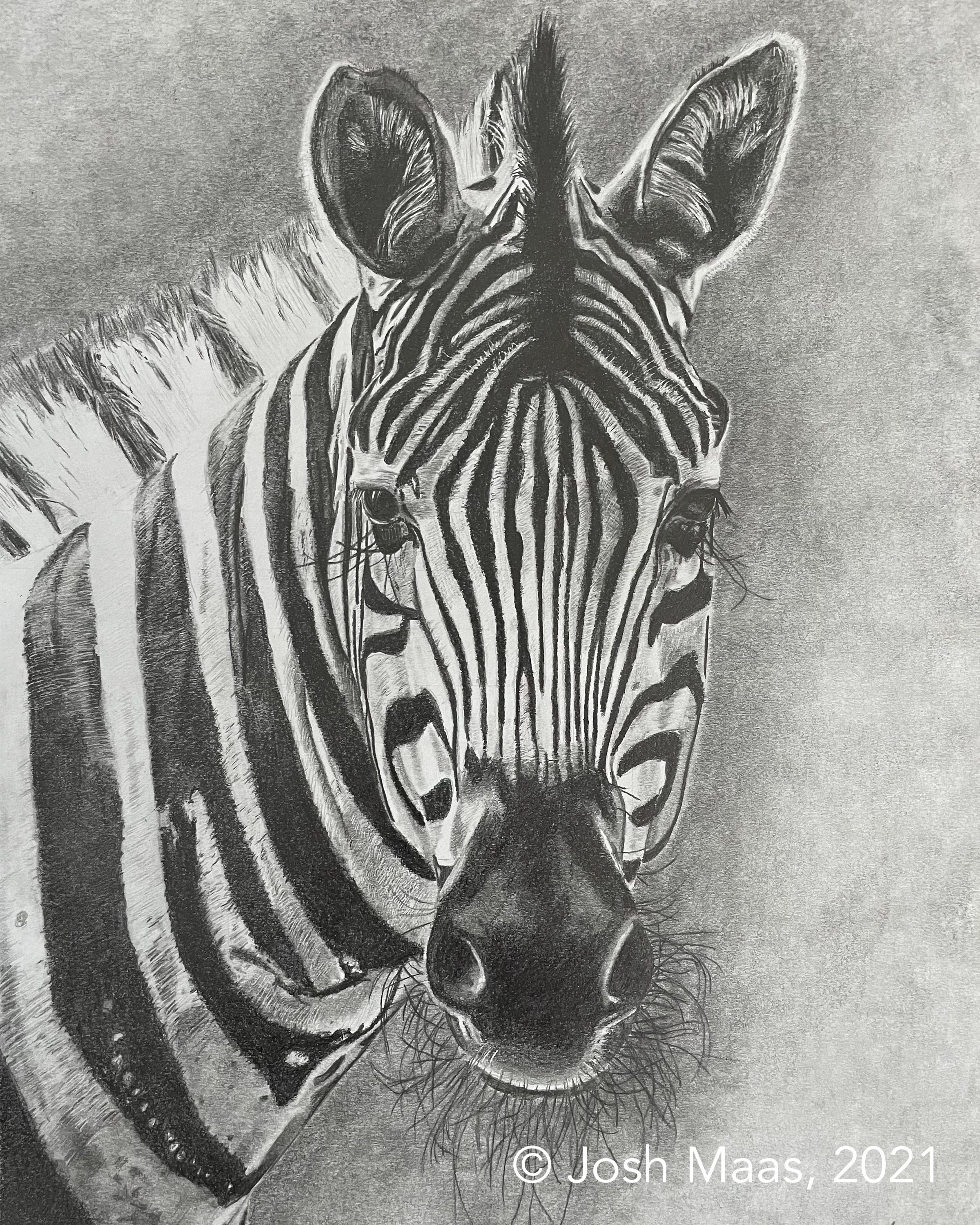 Safari Animals Graphite Pencil Drawing Prints Nursery Decor - Etsy