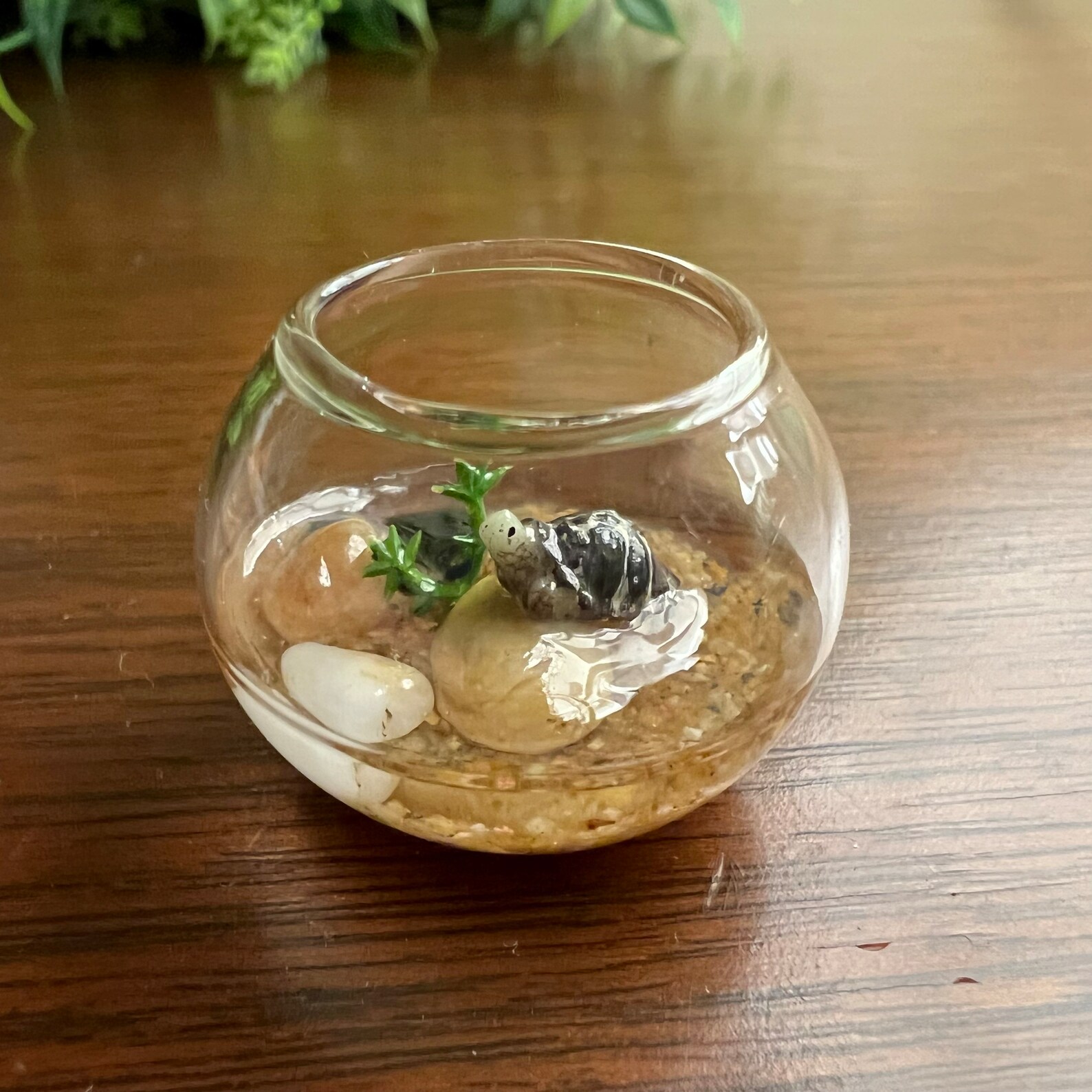 Miniature Turtle Bowl Miniature Fish Bowl - Etsy