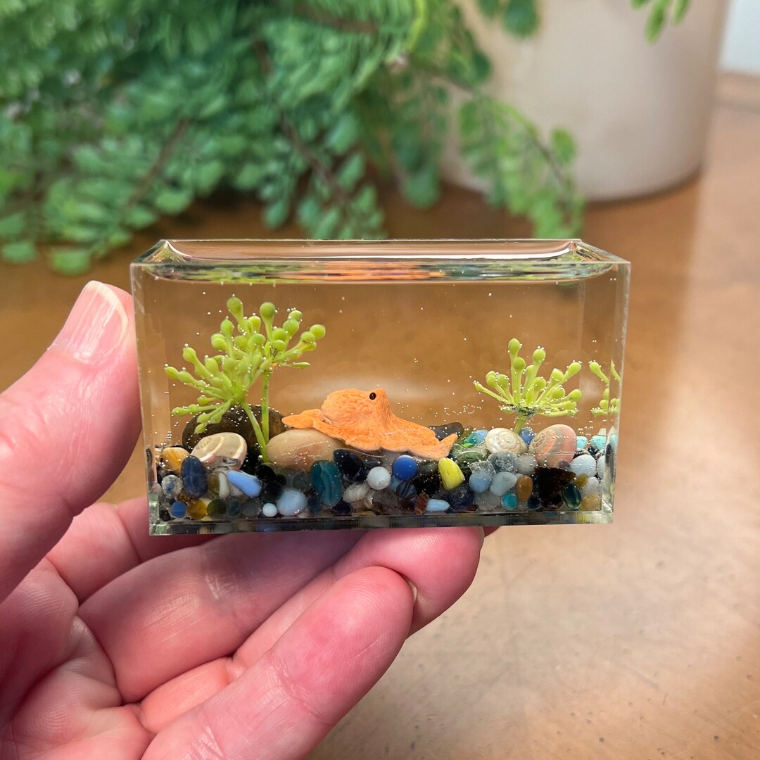 Miniature Marine Aquarium, Tiny Octopus With Glass Pebbles - Etsy