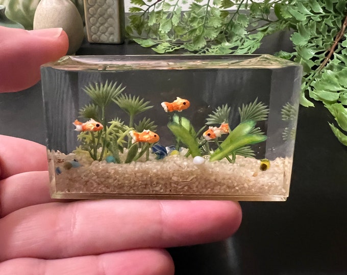 Miniature Goldfish Aquarium Larger Size Beige Gravel 1:12 - Etsy