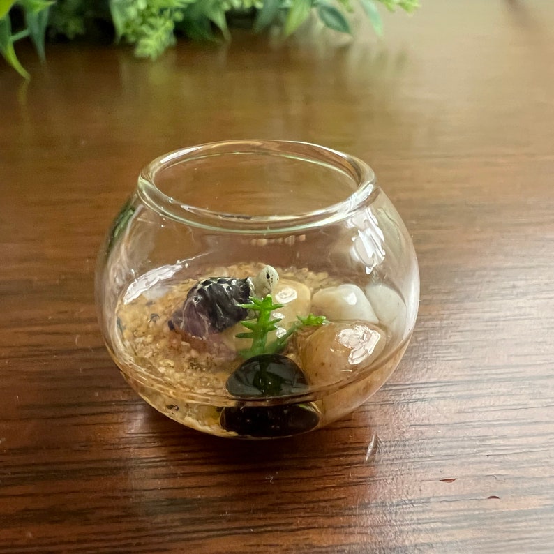 Miniature Turtle Bowl Miniature Fish Bowl - Etsy